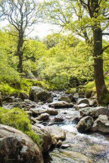 How To Visit Wicklow Mountains From Dublin, Ireland - Family Off Duty