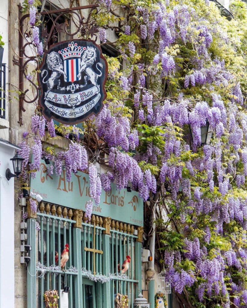 8 Picture-Perfect Cafés In Paris Worth Visiting For The Aesthetic ...